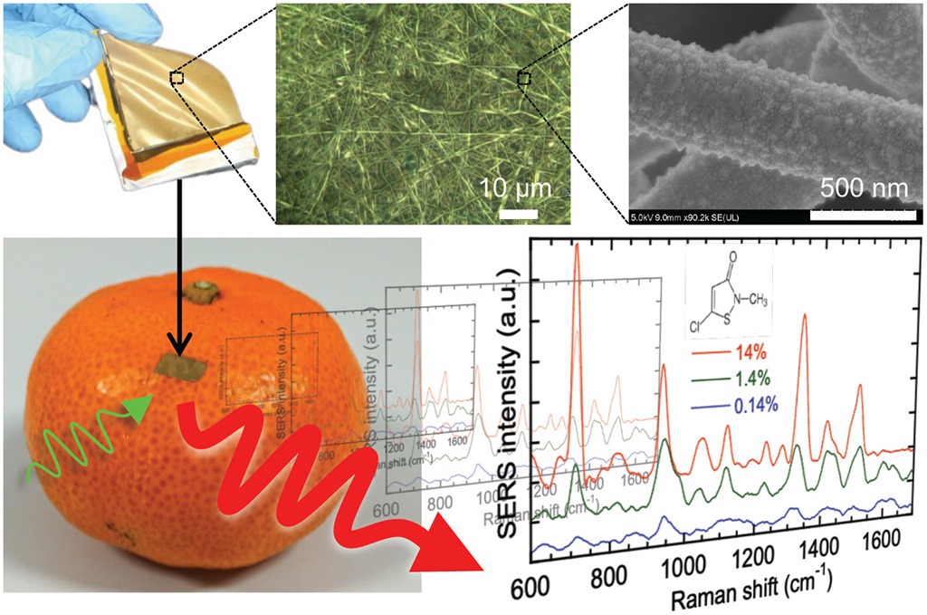 Optics & Photonics News - Sampling-Free Substrate for “Place & Play SERS”