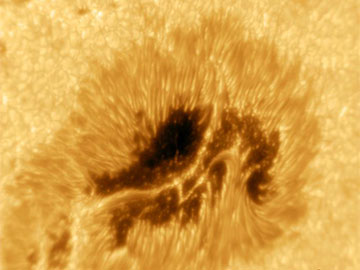 Optics & Photonics News - A Clearer Solar View from Adaptive Optics