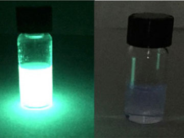 Optics & Photonics News - Super-Bright Single-Molecule Probes for Cell ...