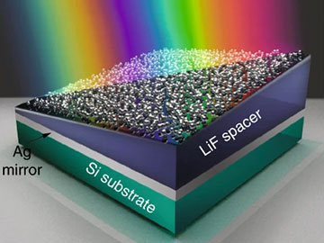 Optics & Photonics News - Tunable Colors Inspired by Nature