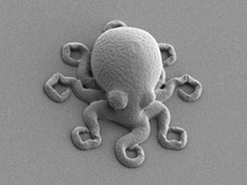 Optics & Photonics News - Building “Living” 3D Microstructures with ...