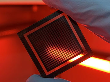 Optics & Photonics News - Bioinspired Sensor Sees in Full Color