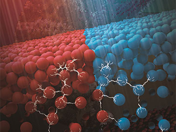 Optics & Photonics News - Photochromic Ink Inspired by Cephalopod’s Skin