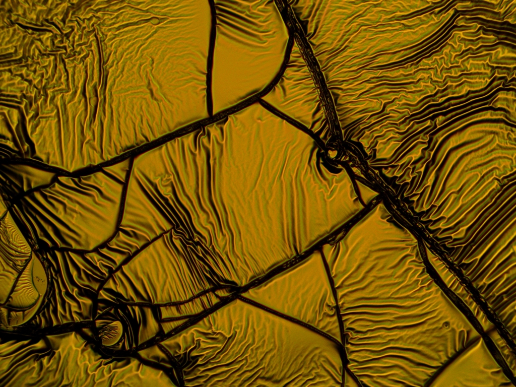Optics & Photonics News - Reticulation of Thin Film