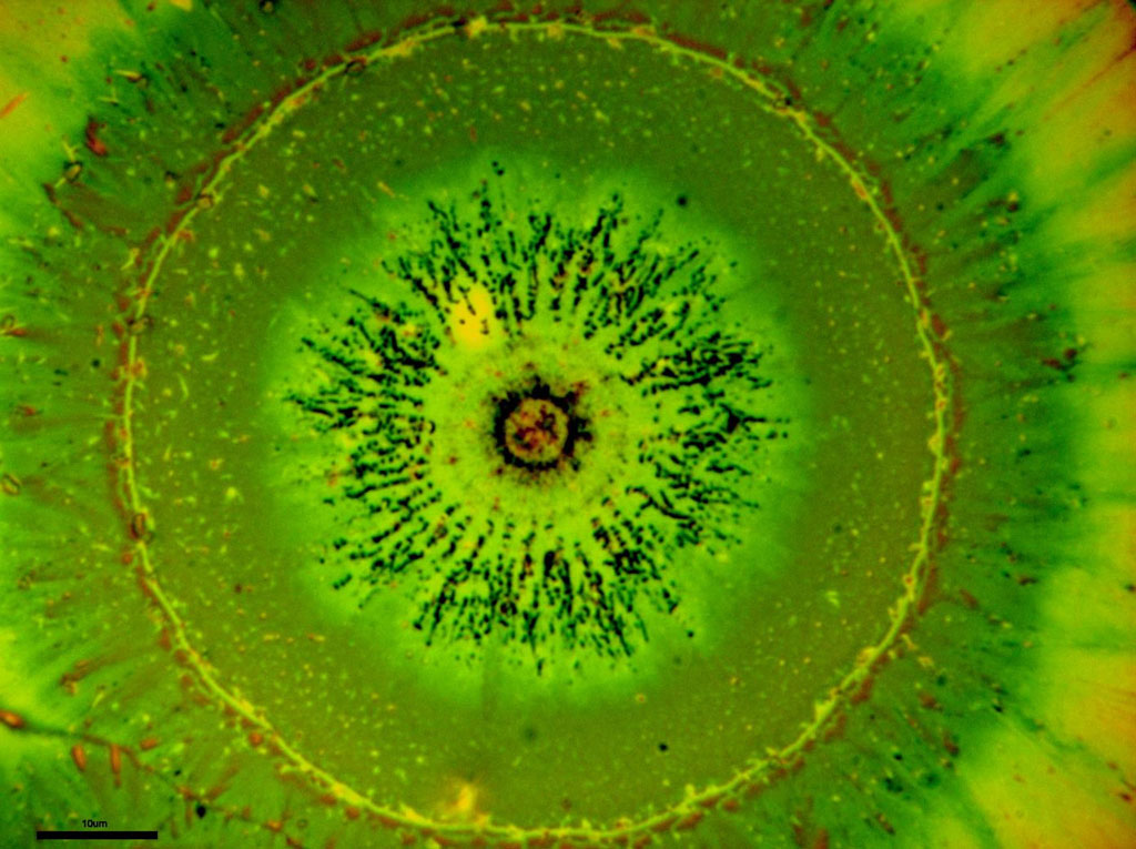 Optics & Photonics News - Salt "Eye"